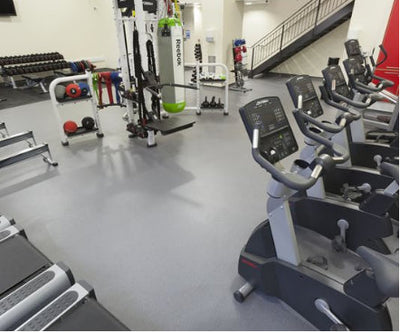 Altro Walkway 20 SD Fog VM20153SD Anti-Static