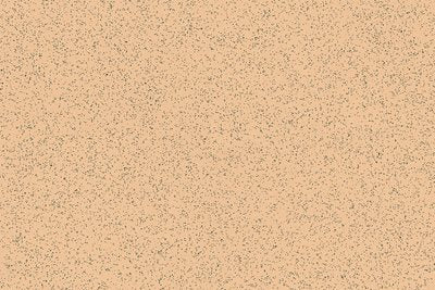Altro ContraX Spring Beige CX2016N | Contract Flooring